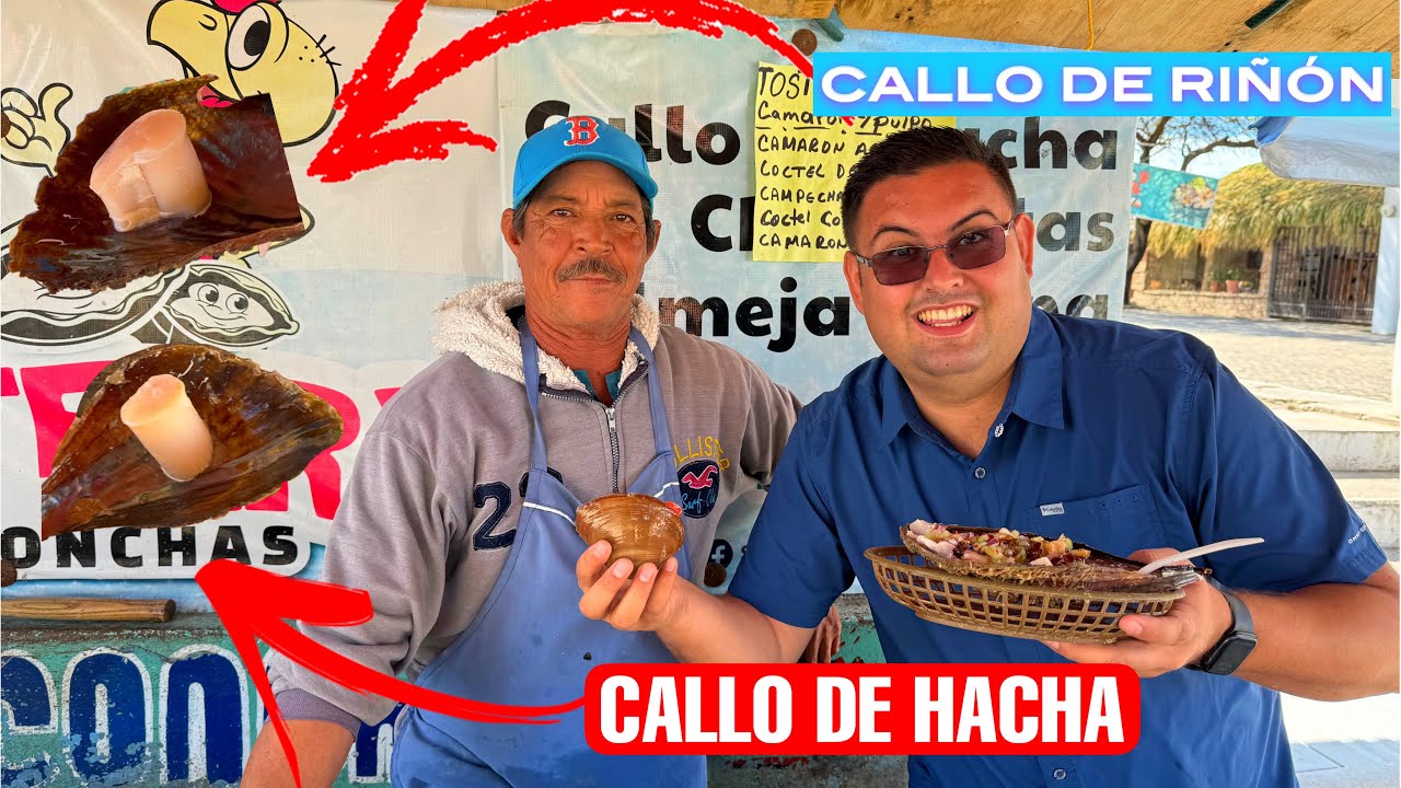 Diferencia entre callo de riñon y callo de hacha explicado por un ...