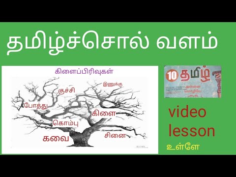 தமிழ்ச்சொல் வளம் | பத்தாம் வகுப்பு | தமிழ் | class 10 | வகுப்பு 10 ...