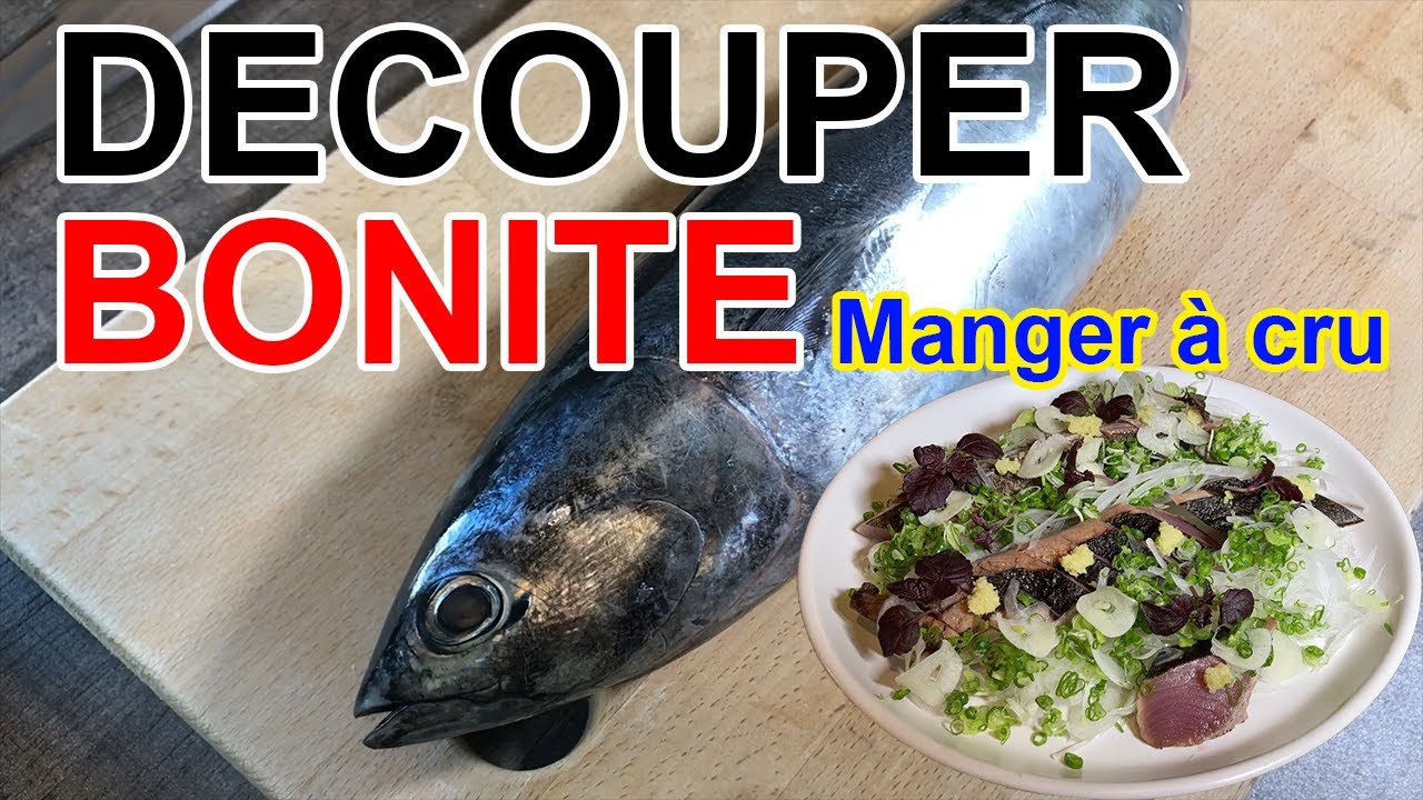 DECOUPER LE POISSON, BONITE, mi-cuit manger à cru - YouTube