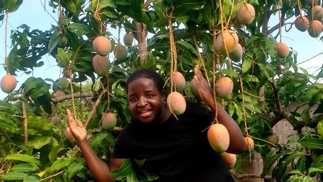 não contava com tanta surpresa - YouTube