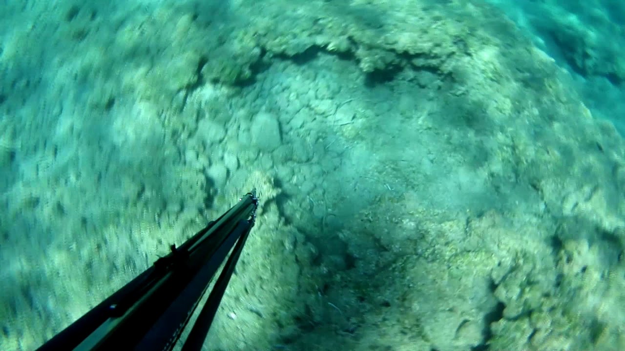 Spearfishing in greece 2018 -Κυνηγωντας σκαρους στα ρηχα - Ροδος 15/07 ...