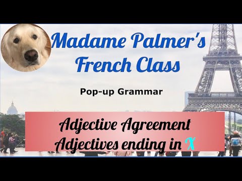 More irregular French Adjectives - YouTube