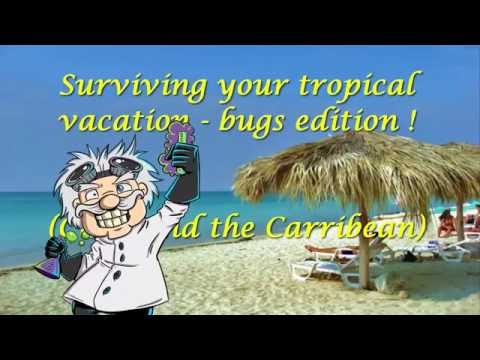 What Dangerous Insects Are In Punta Cana