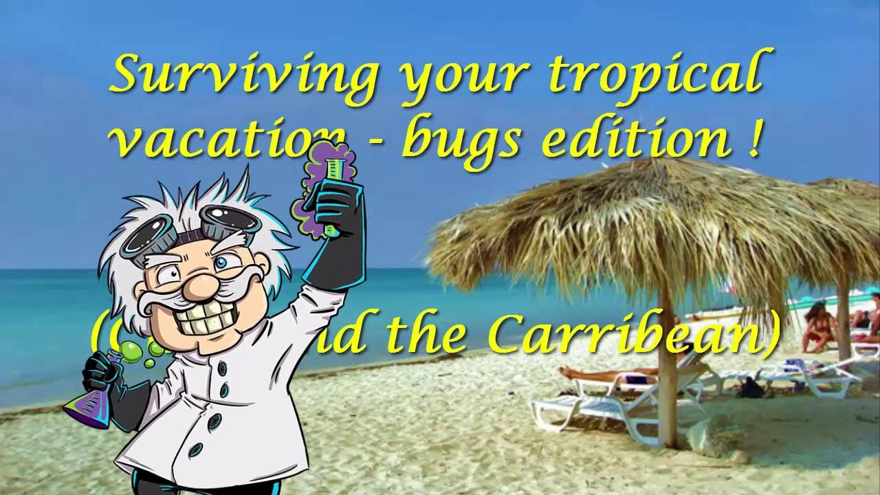 Vacation, Cuba, Caribbean. Bugs bites (chigoe, jejenes etc.), parasites ...