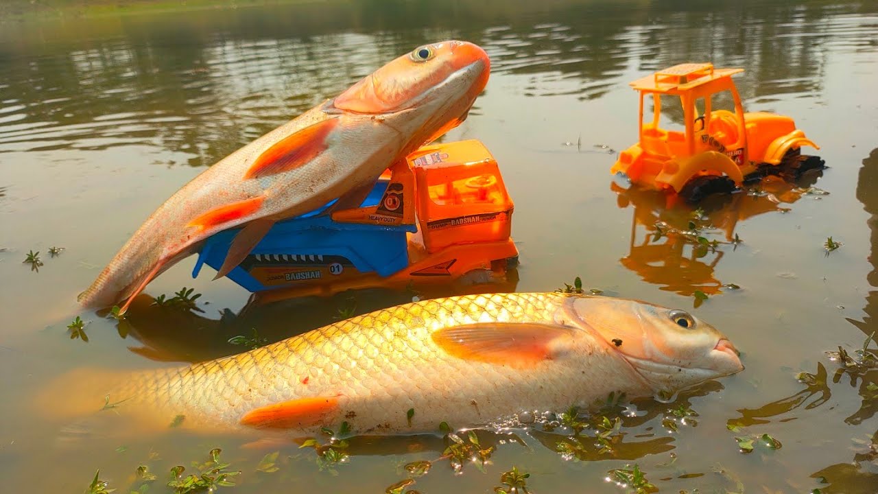 Fish 🐠🐠 Helping new Video | Dump truck tractor cartoon video | tractor ...