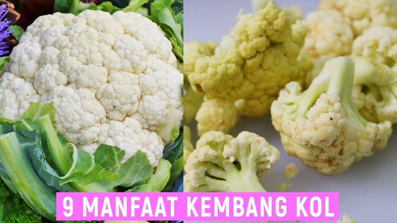 9 Manfaat Kembang Kol untuk Kesehatan | Menyehatkan Jantung - YouTube