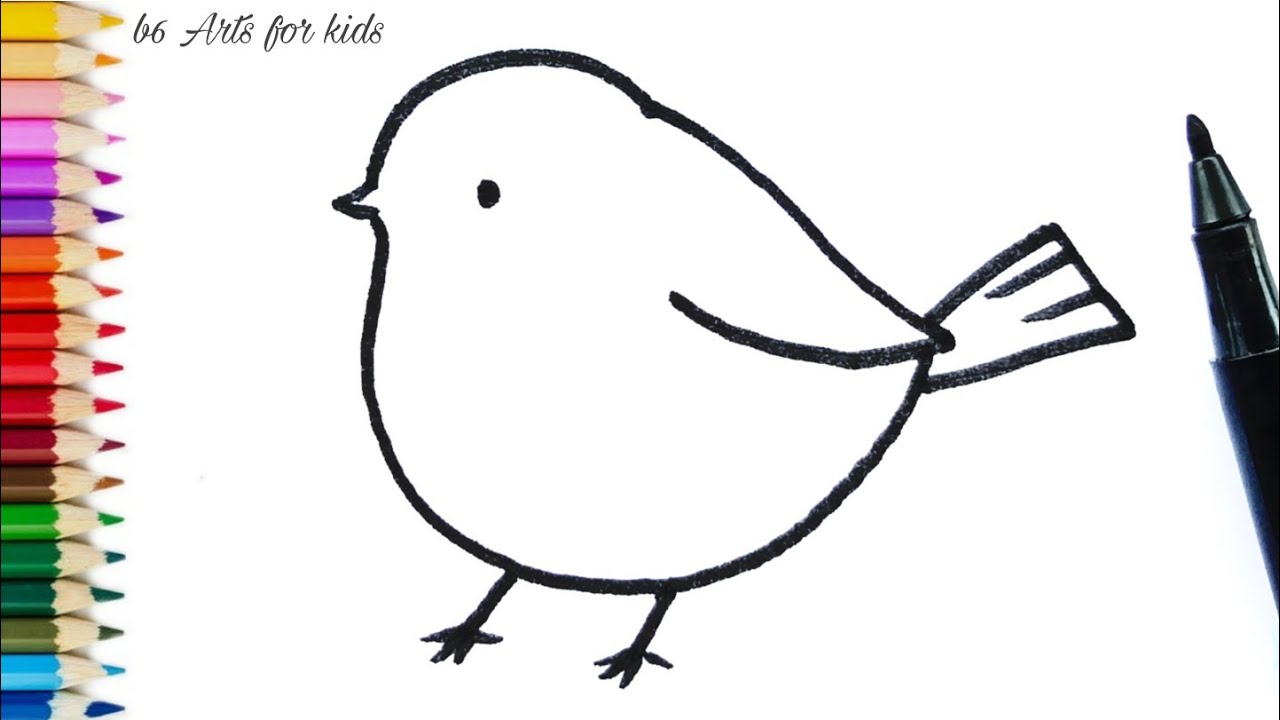 How To Draw A Robin Bird - YouTube