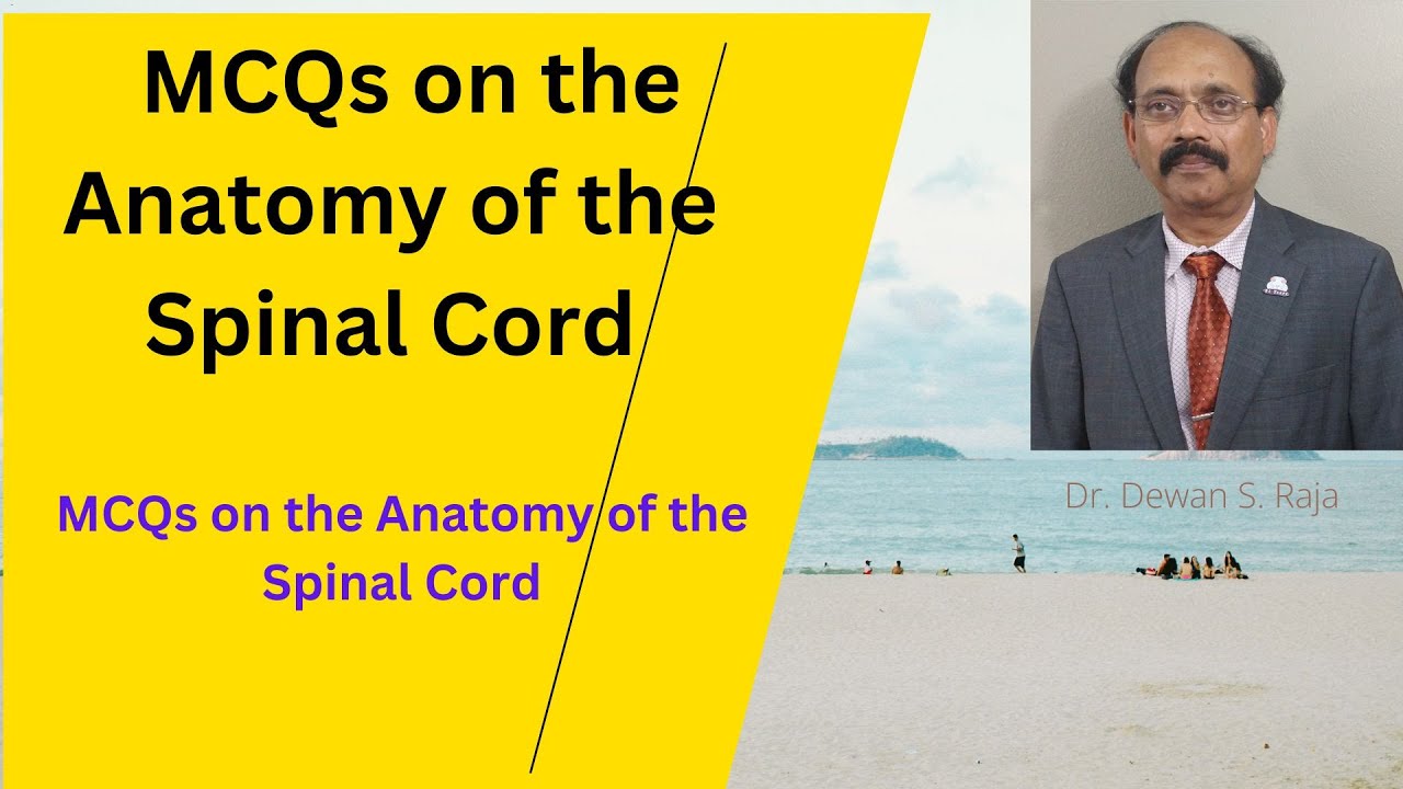 MCQs on the Anatomy of the Spinal Cord - YouTube