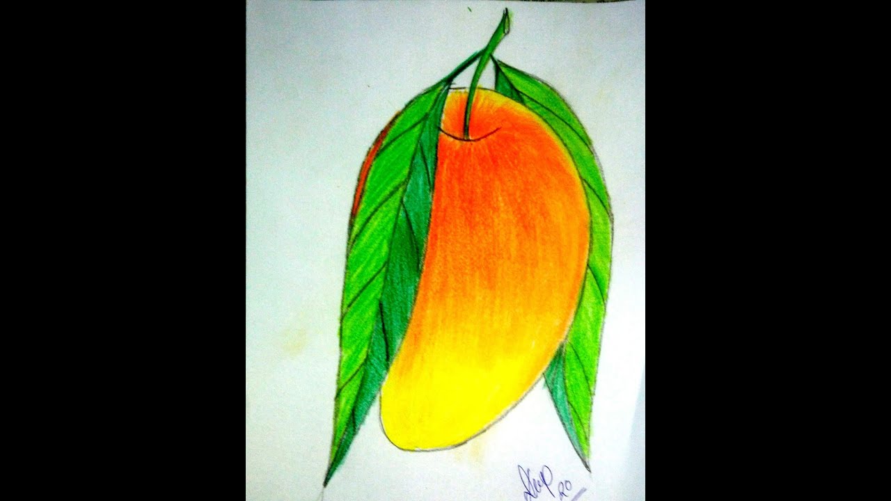 How to draw a beautiful mango with leaves - YouTube