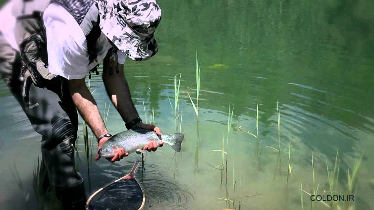 Fly Fishing in IRAN - YouTube
