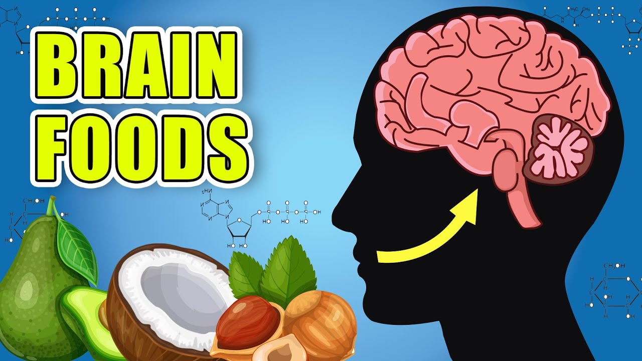 The 10 Best Foods To Boost Brain Power and Improve Memory - YouTube