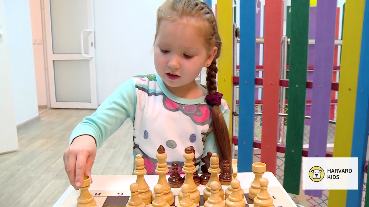 HARVARD KIDS Детский развивающий центр - YouTube