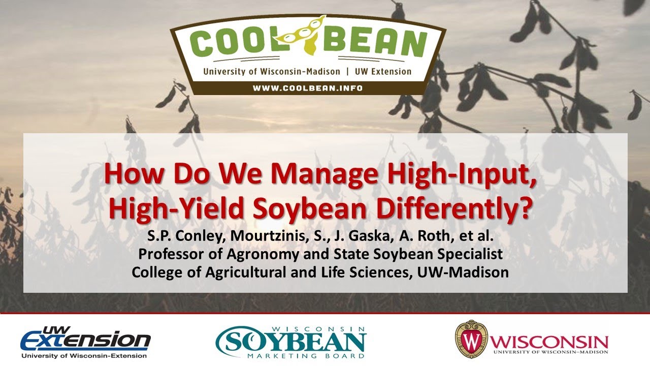 How Do We Manage High-Input, High-Yield Soybeans Differently? - YouTube