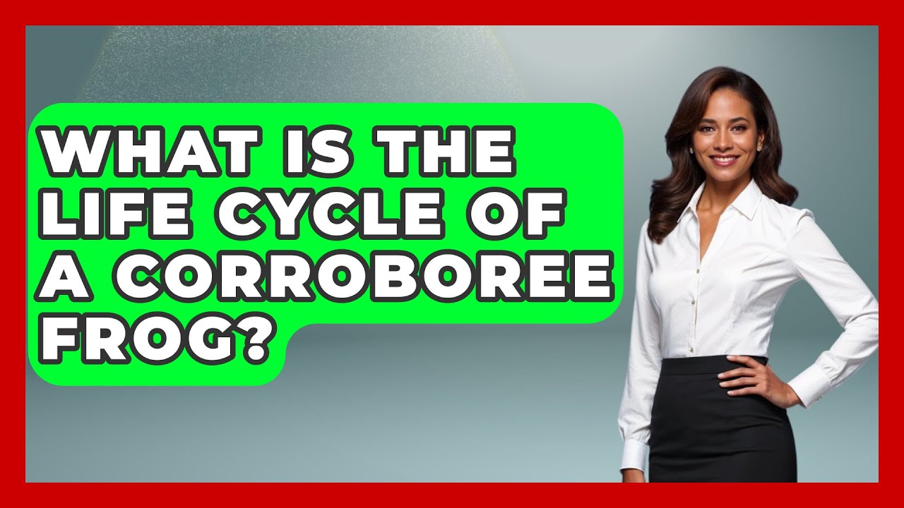 What Is The Life Cycle Of A Corroboree Frog? - Reptilian Wonders - YouTube
