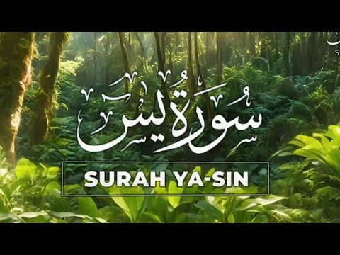 Best Surah Yaseen (Yasin) | Heart-Moving Quran Recitation in a ...