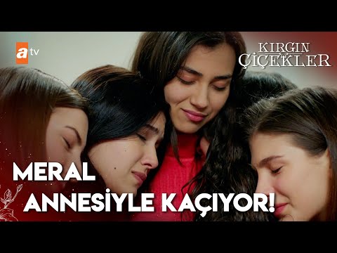 Meral ve Seher'in kaçış planı | Kırgın Çiçekler 32. Bölüm