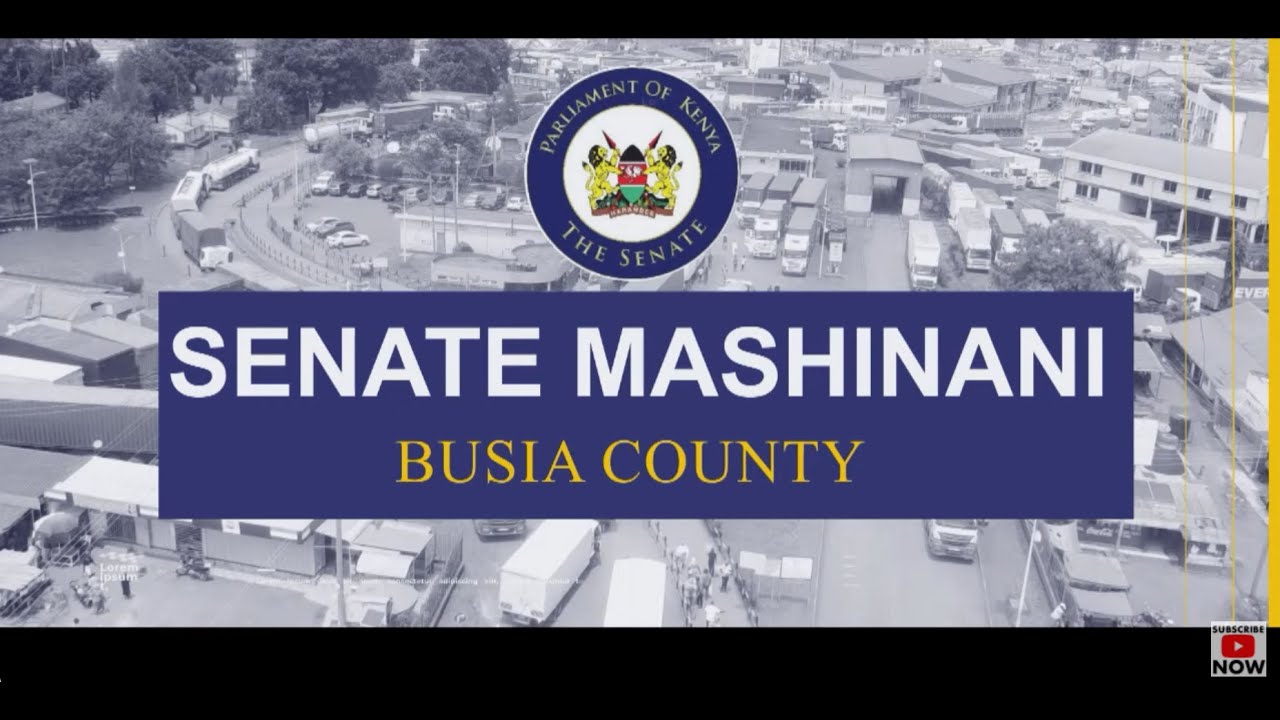LIVE: Senate Live Proceedings from Busia County II 8th October 2025 II ...