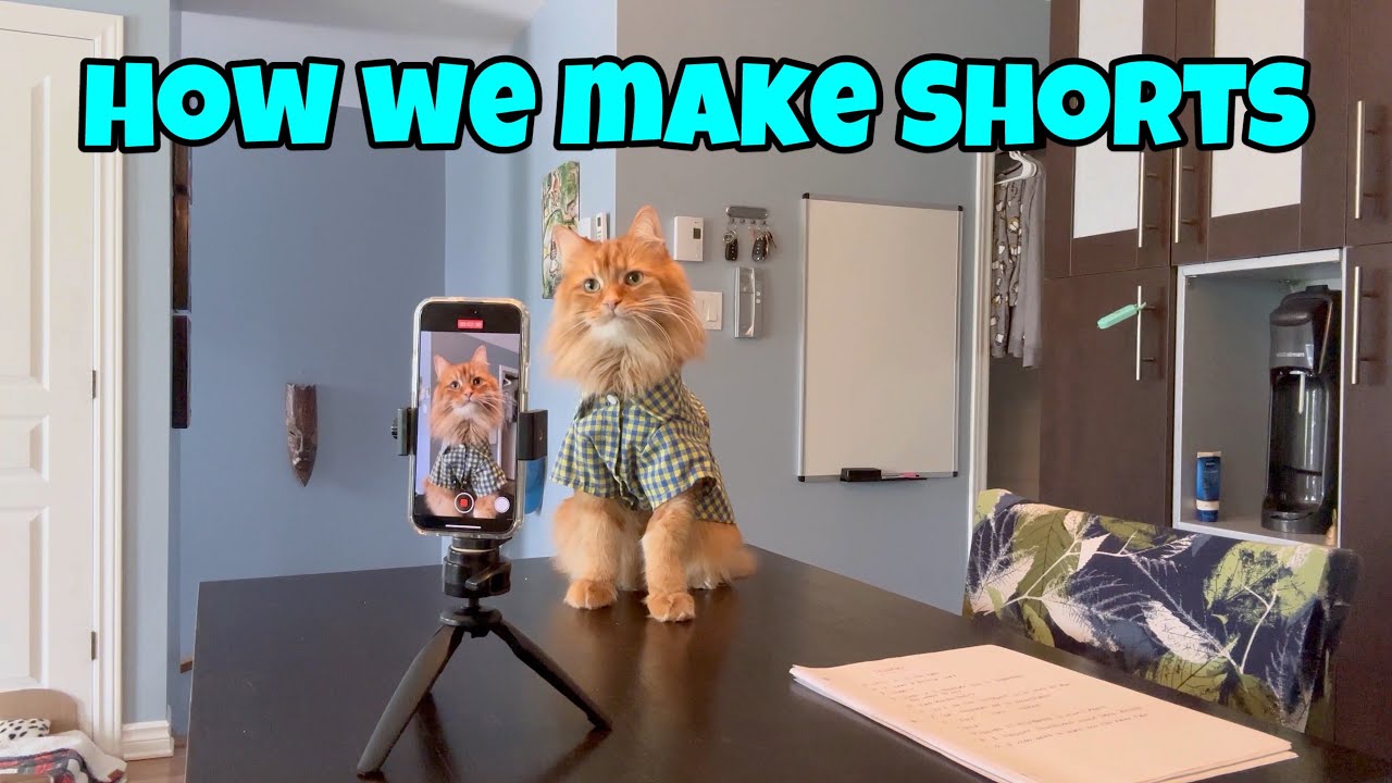 How We Make Short Videos - YouTube