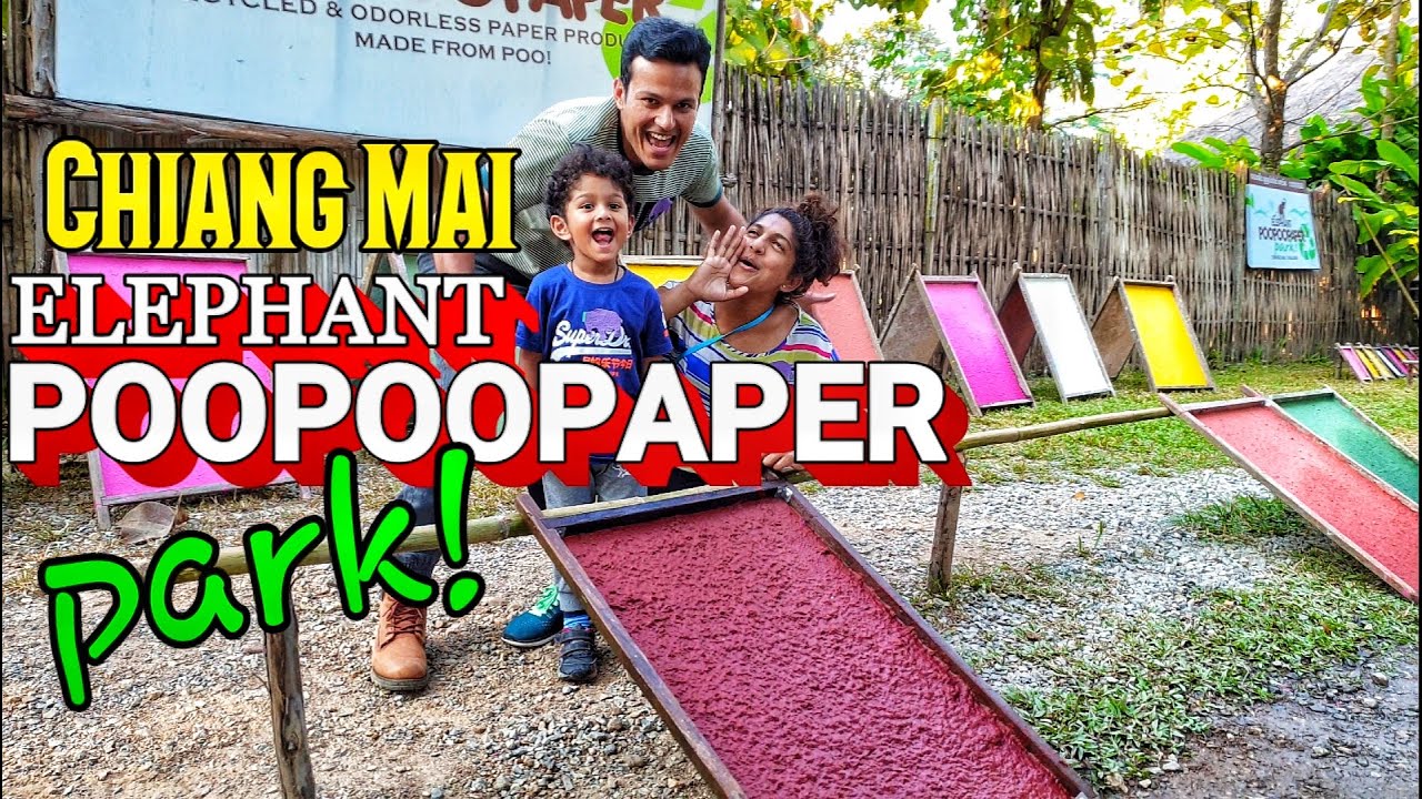 Elephant PooPooPaper Park in Chiang Mai Fantastic experience - YouTube