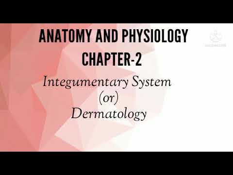 Medical coding Anatomy Dermatology or Integumentary system| Part 1/ For ...