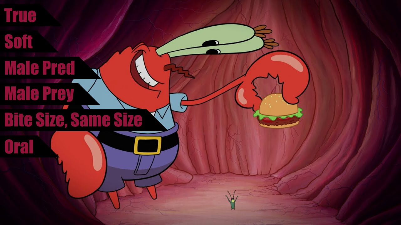 I Hide in a Stomach, He Hides in a Stomach - SpongeBob SquarePants ...