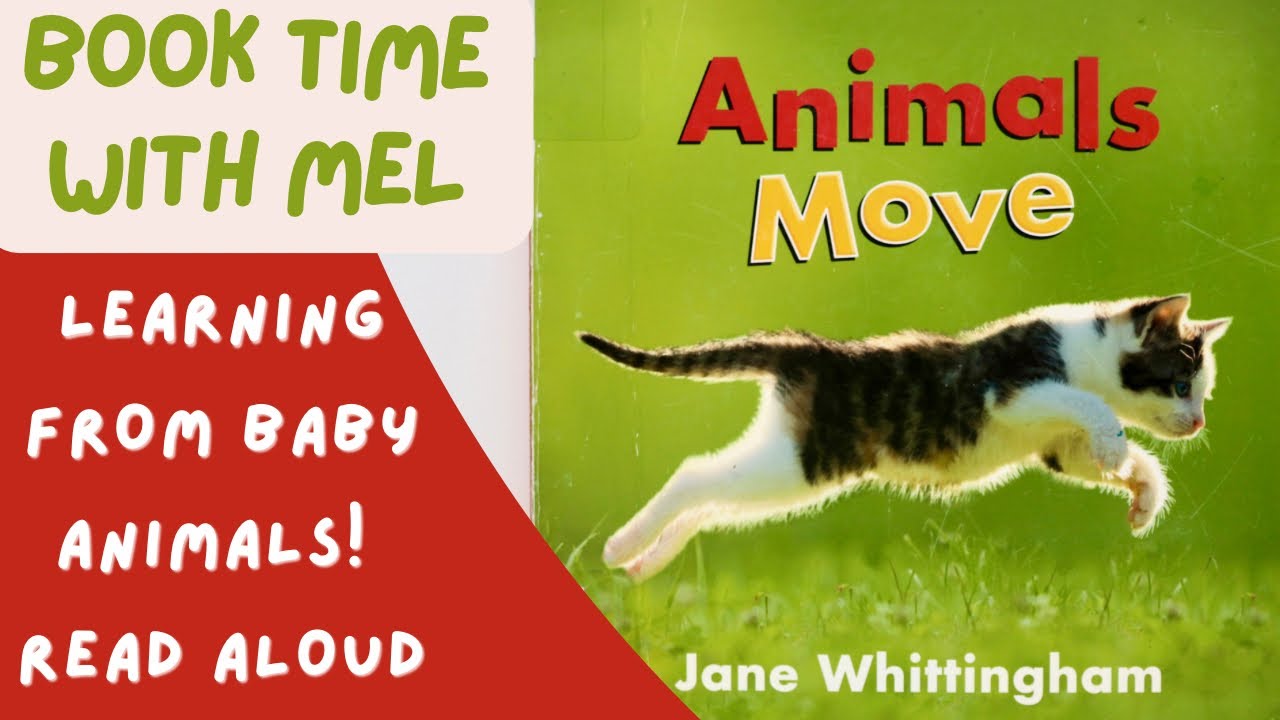Animals Move ~Read Aloud - YouTube