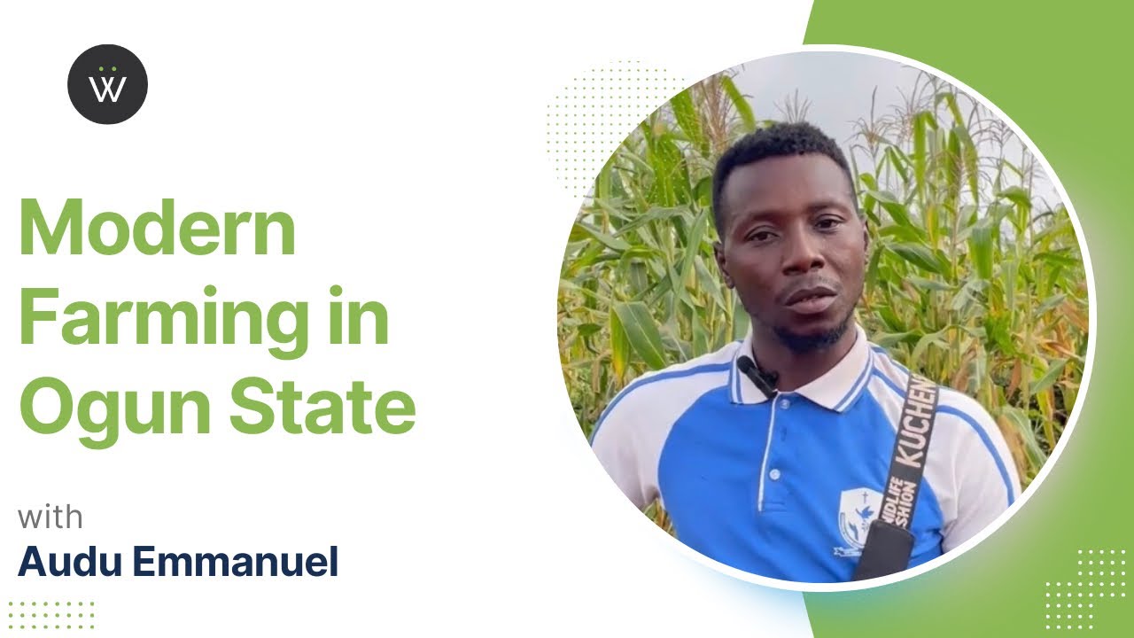 From Rural Beginnings to Modern Farming: Audu Emmanuel's Inspiring ...