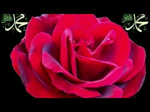 Kısa ama çok güzel kıssa