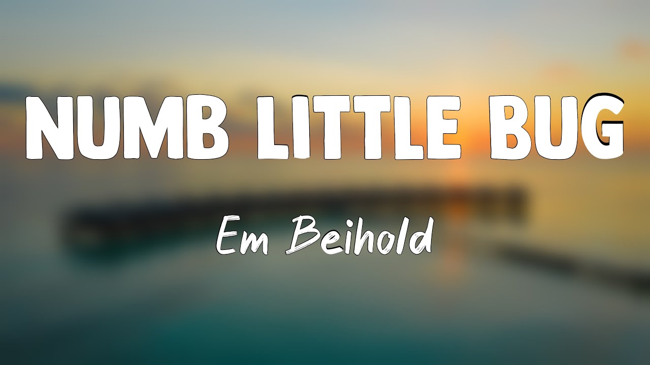 Numb Little Bug - Em Beihold (Lyrics) 🥁 - YouTube