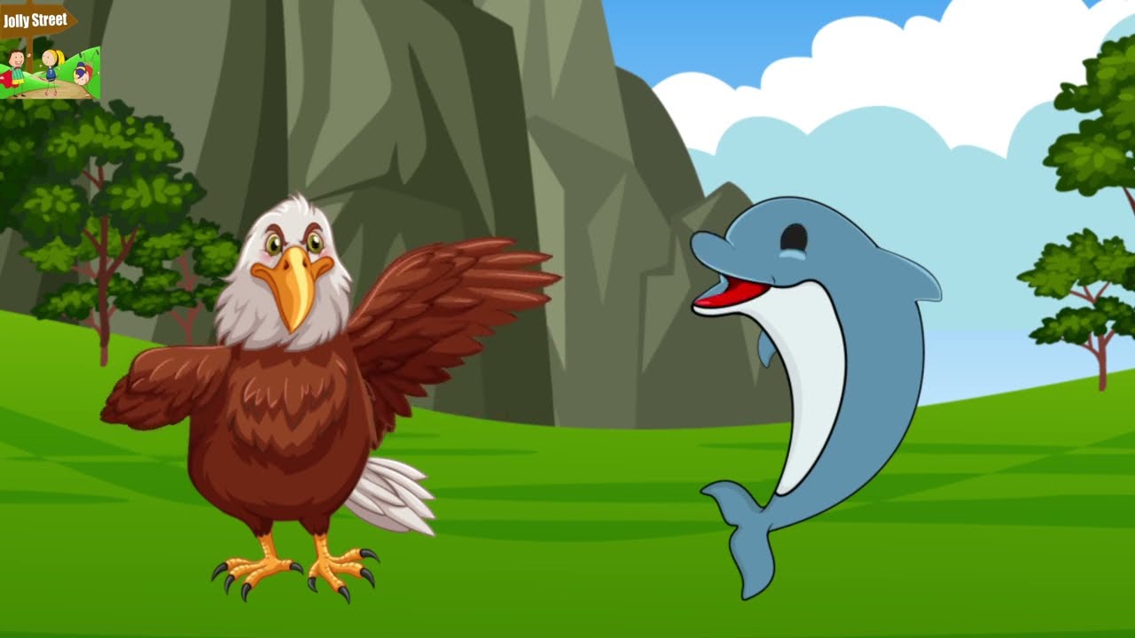 Why Cant Some Birds Fly | Read Aloud Bedtime Stories for Kids - YouTube