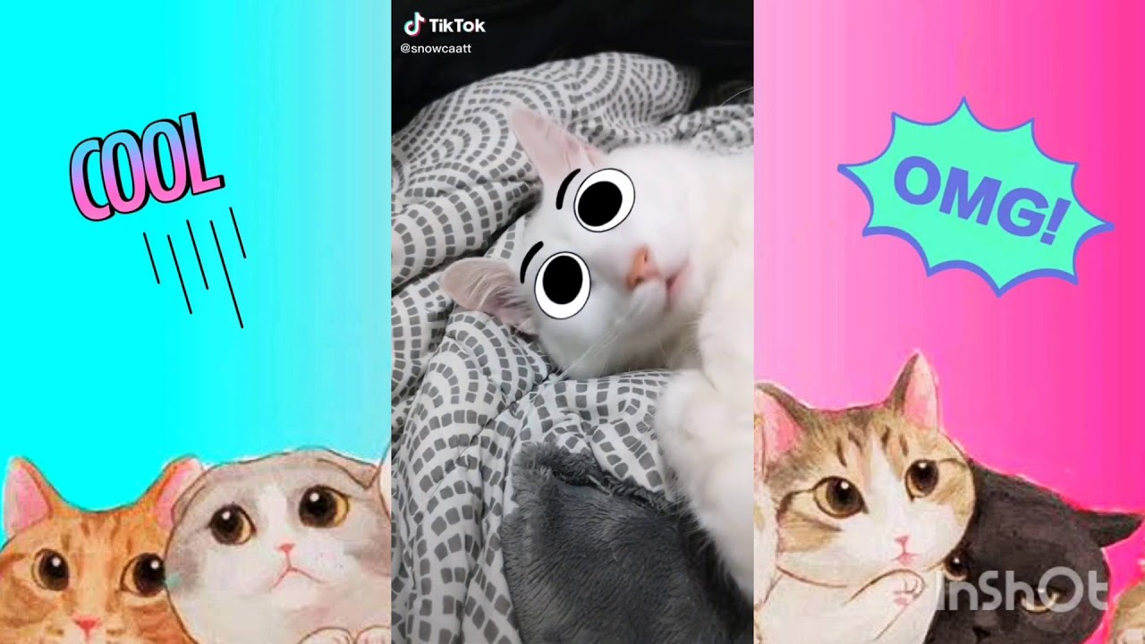 michis enojados - YouTube