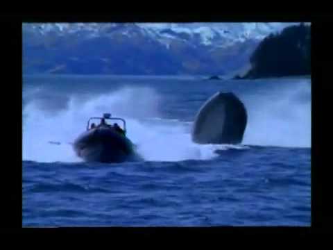 U.S. Navy Seals Documentary Part 2/2 - YouTube