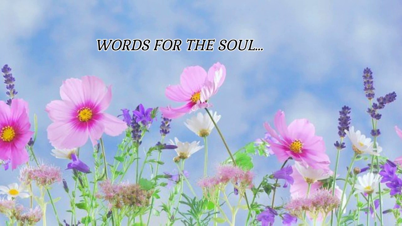 Words for the Soul | Motivational Video | Cristina - YouTube