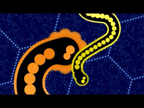 The Final Moment | Gulper.io