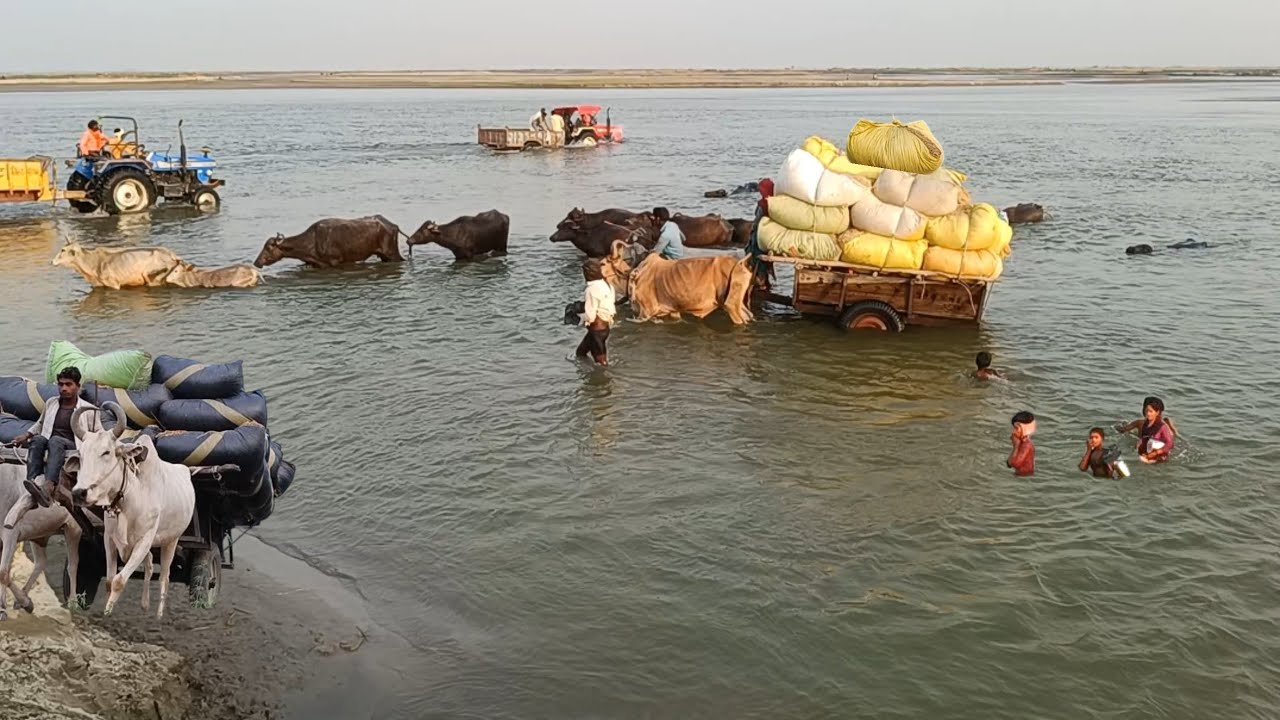 This Is The Real India 🇮🇳 [] This Is The Truth Of India [] Real Life ...