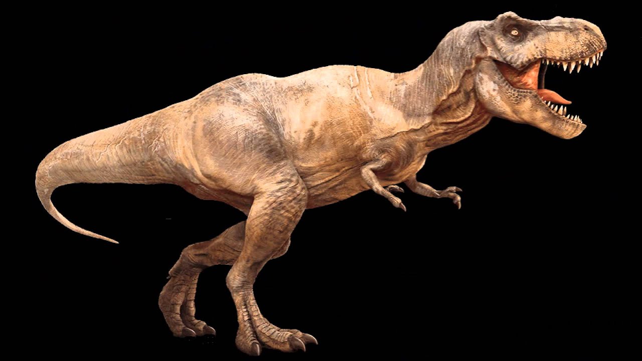 Trex Tribute 2015 - YouTube