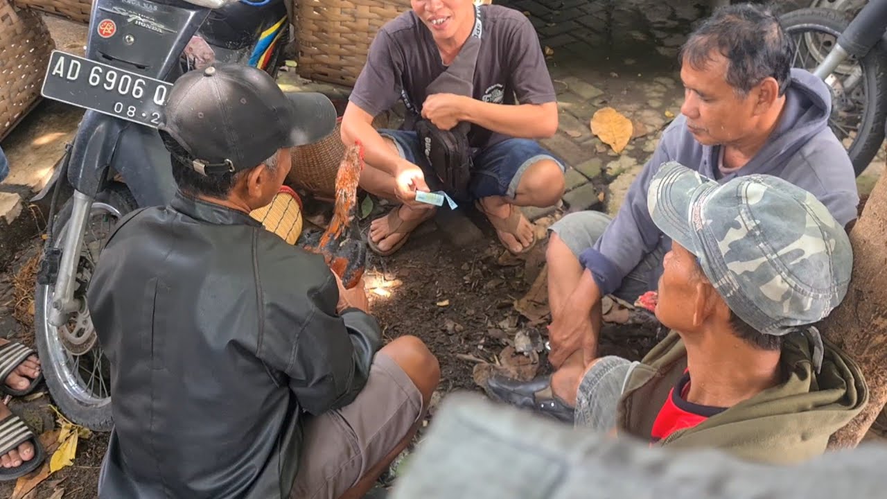 Pasar gawok sukoharjo buat hoby rata2 di 200 san - YouTube