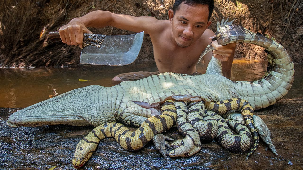 Amazing Crocodile! Big Snakes in Crocodile Stomach | Cooking Snakes ...