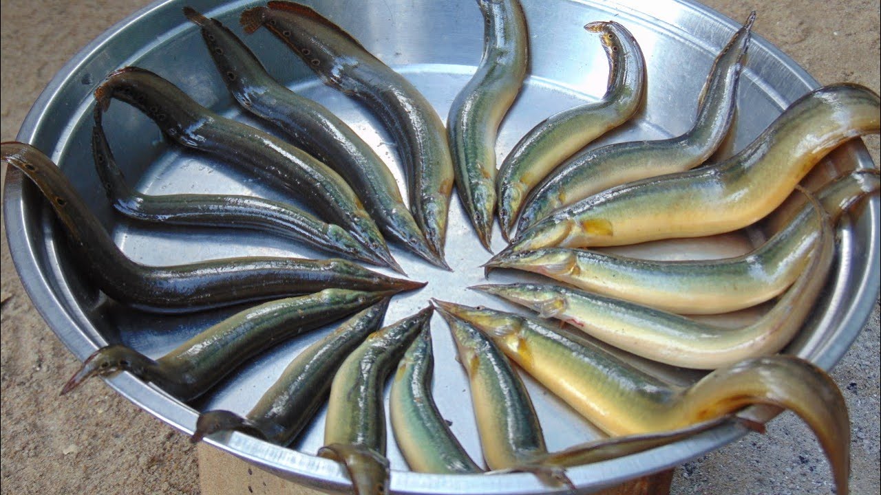 Sunday Special Ara Fish Fry || ரோட்டுக்கடை ஸ்டைலில் ஆரா மீன் வறுவல் ...