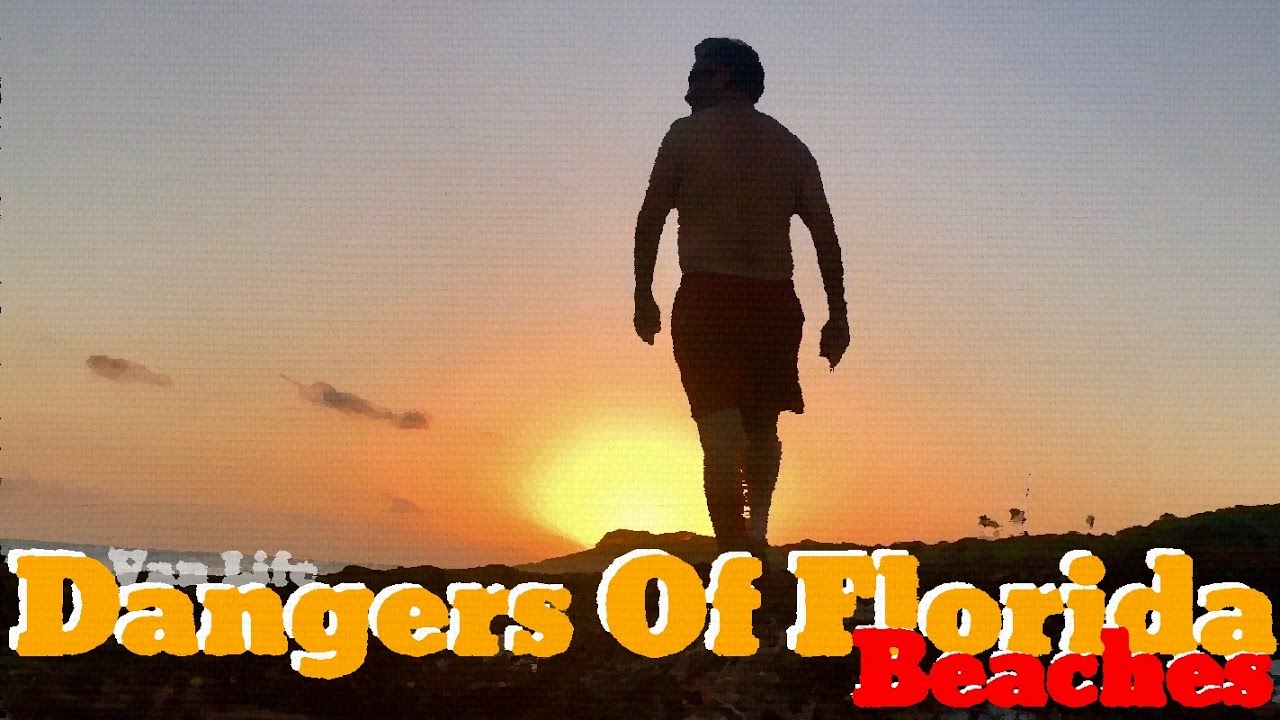 Van Life; Dangers Of Florida Beaches! - YouTube