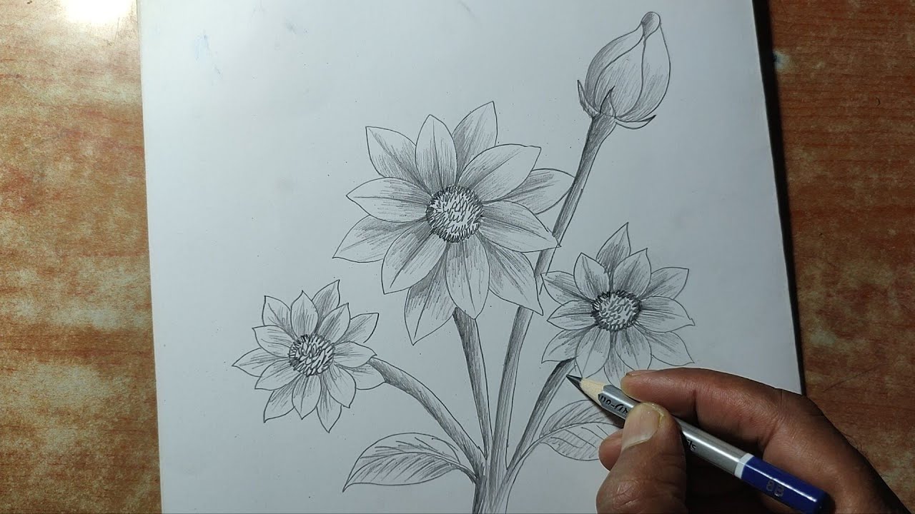 Simple flowers drawing / How to draw a beautiful flowers drawing - YouTube