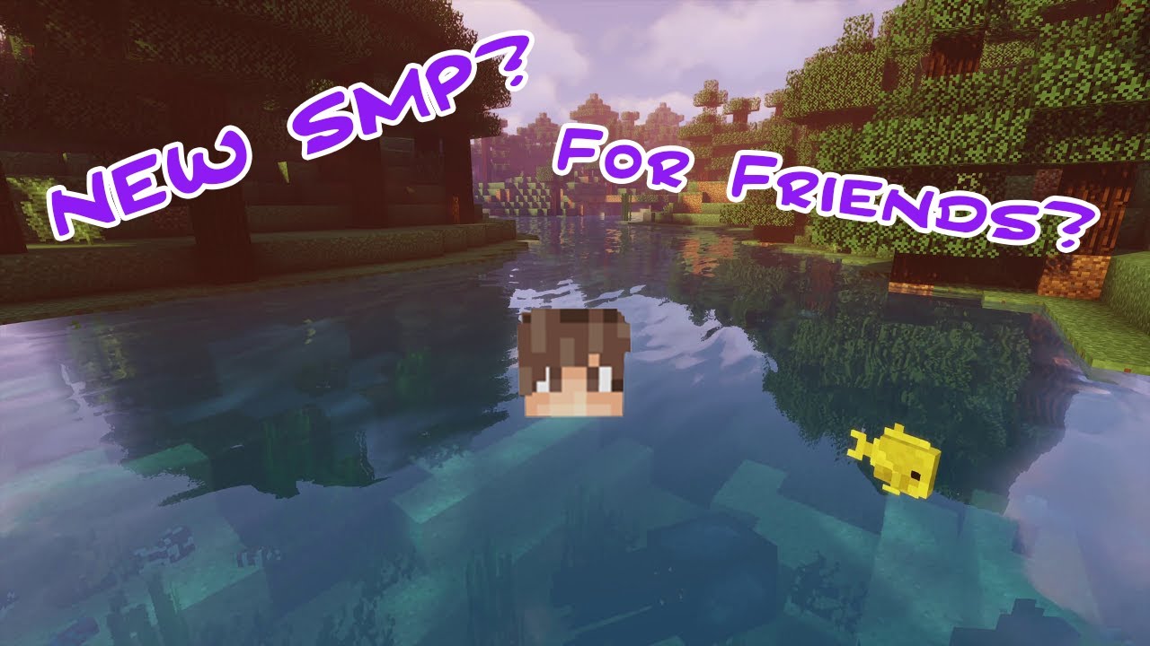 Playing On Diversity SMP | !points !discord !donate - YouTube