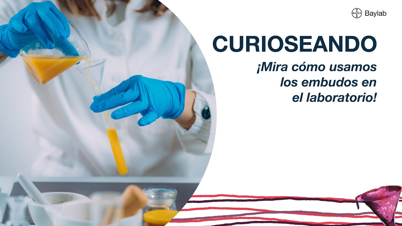 Uso de embudos en el laboratorio - YouTube