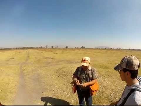 clases de altanería con rafa - YouTube