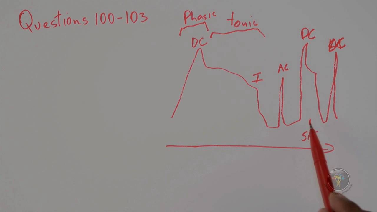 How to solve GAMSAT Section 3 Biology (ACER Practice Test 2 - Purple ...