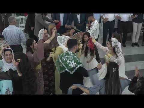 SERPİL & AZAD ÖZKÜL Görkemli Düğünü Part 2 ( Tayyan Kerevan Aşireti )