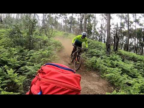 Madeira 2018: Rabbit Trail - YouTube