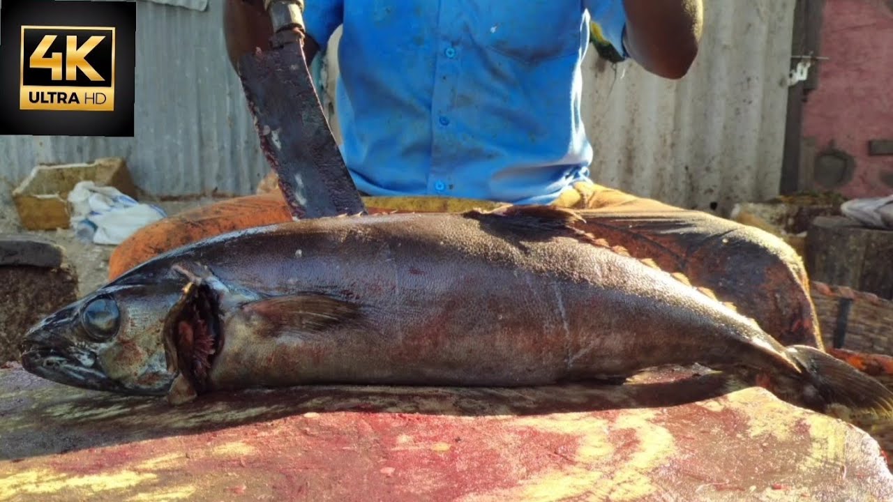 NEI MEEN || KASIMEDU FISH MARKET 🌊⛵ || KASIMEDU SEKAR ⚔️⚡💪 - YouTube