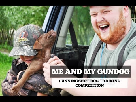 ME AND MY GUNDOG - CUNNINGSHOT DOG TRAINING COMPETITION - YouTube
