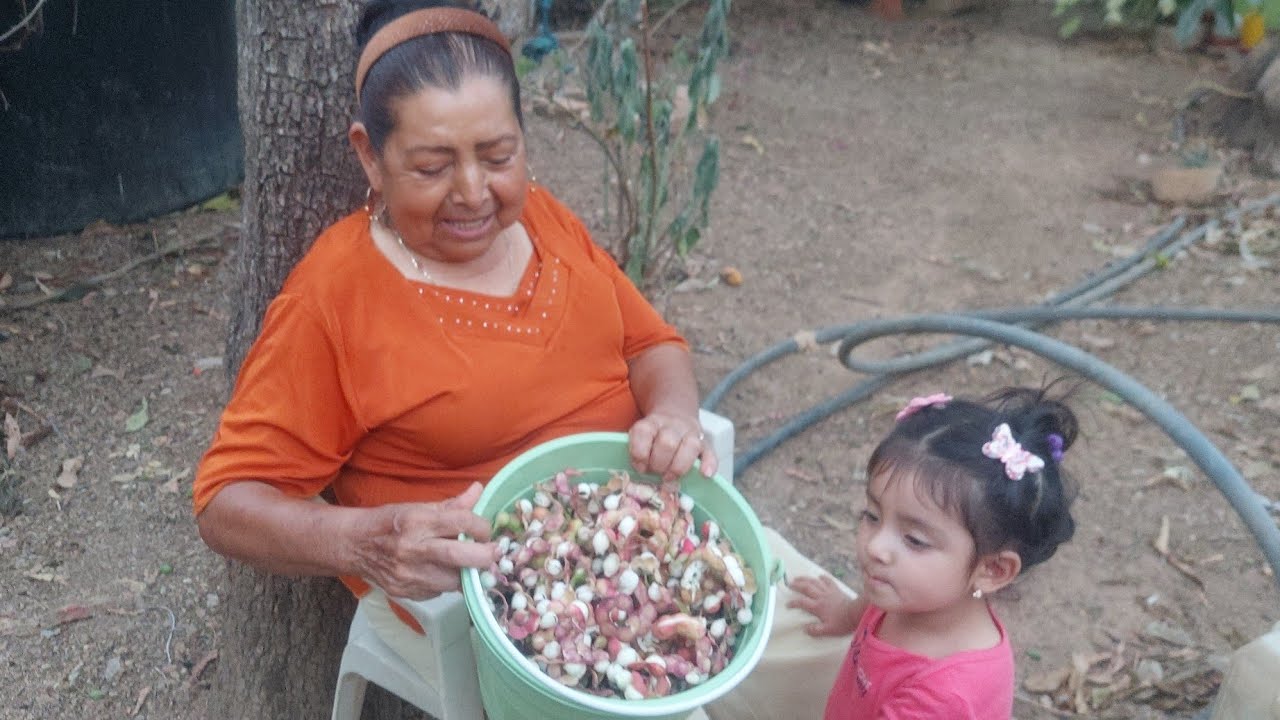 🔴Bañando en el RIO de mi RANCHO // Corte pinzanes de un árbol de aquí ...